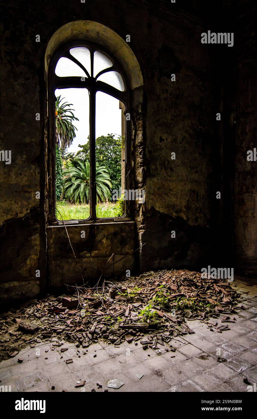 A window framed by crumbling walls showcases vibrant greenery thriving ...