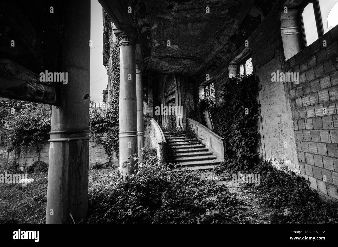 Vines and weeds overtake the crumbling staircase of this abandoned mansion, showcasing decaying ...