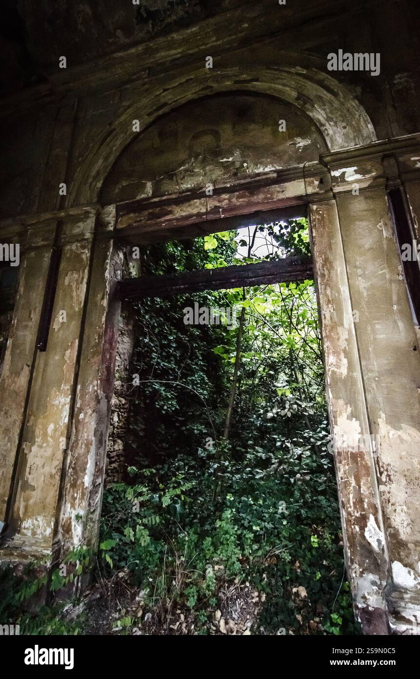 Vines and weeds overtake the crumbling staircase of this abandoned mansion, showcasing decaying ...