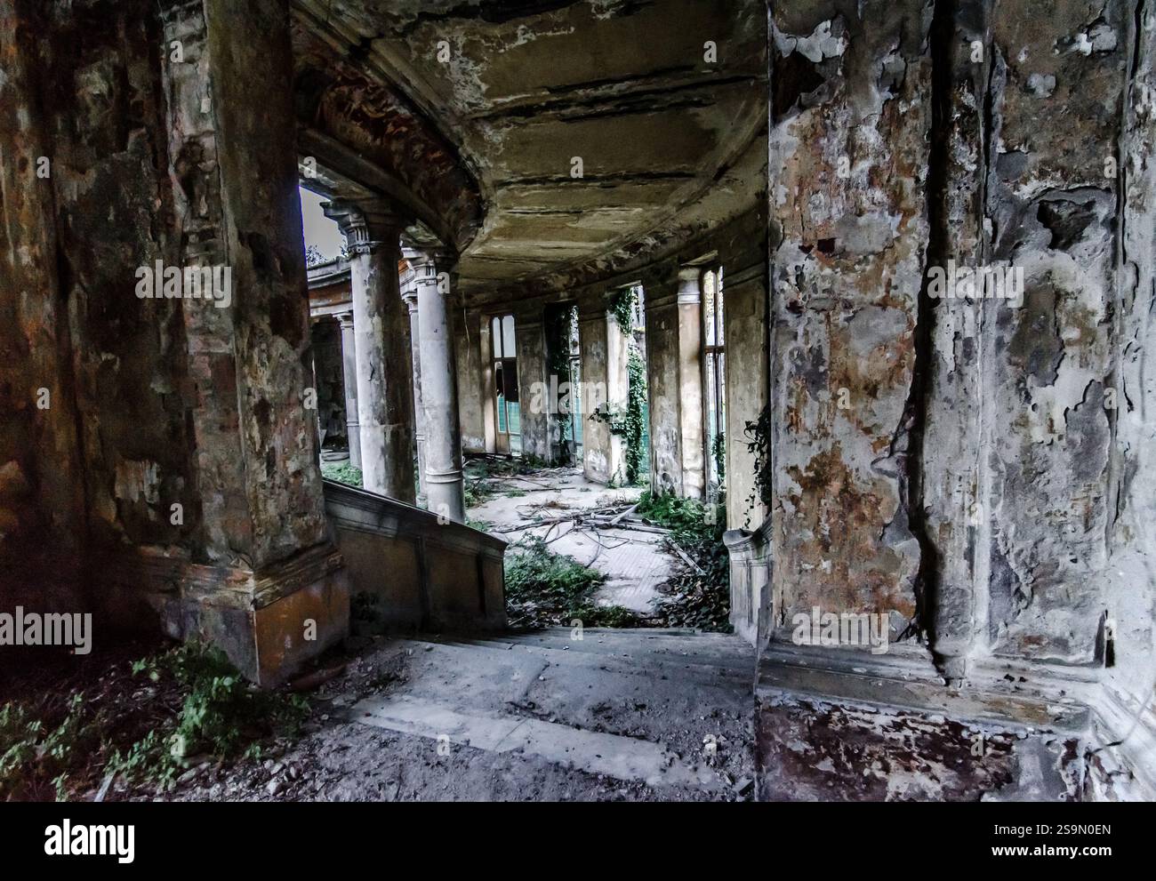 Inside an abandoned structure, neglected walls show signs of decay ...
