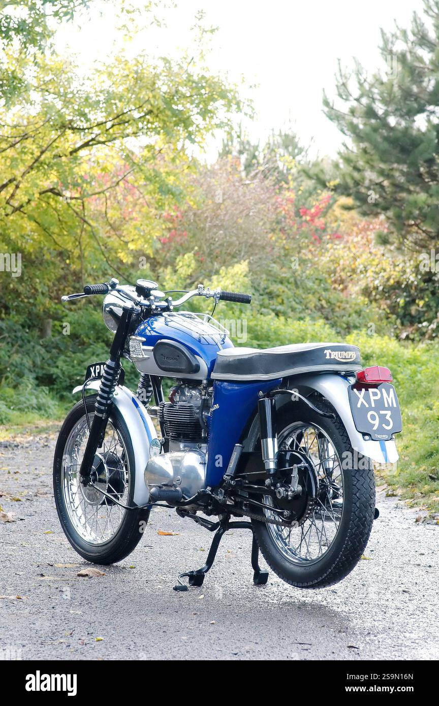 1962 Triumph 500cc Tiger 100SS Stock Photo - Alamy