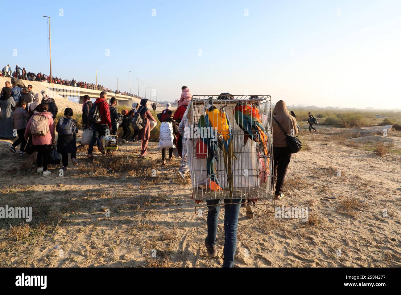 Palestinians, displaced by Israel forces, return their houses through ...