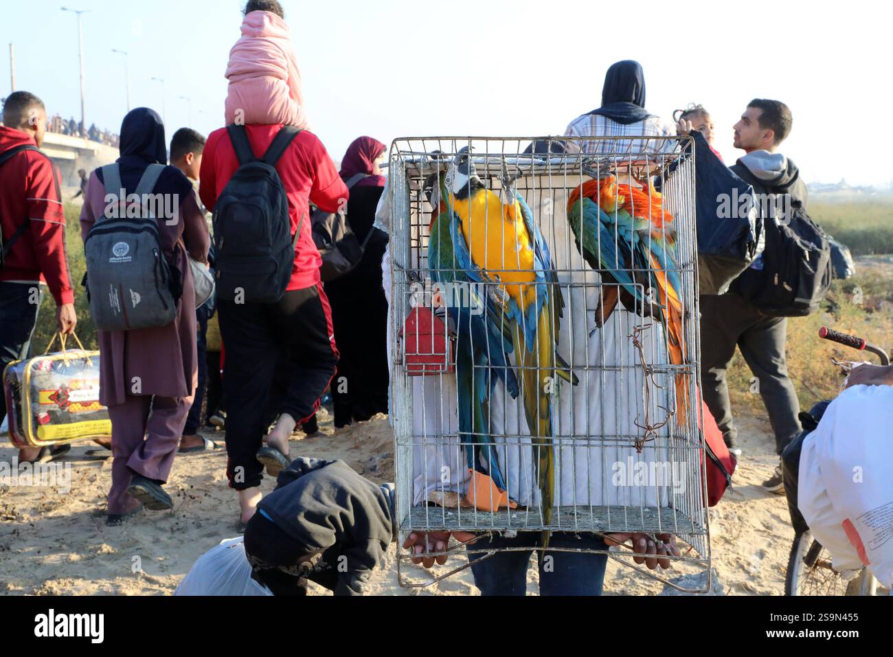 Palestinians, displaced by Israel forces, return their houses through ...