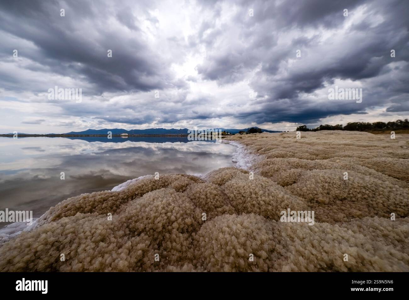 Structures of salt in the Conti Vecchi salt works after the passage of ...