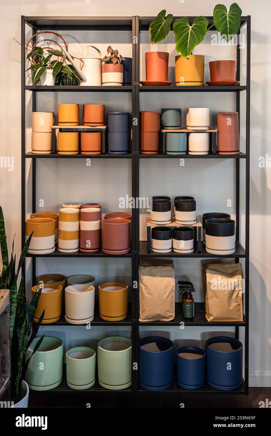 Shelves of colorful plant pots in various sizes and designs Stock Photo ...