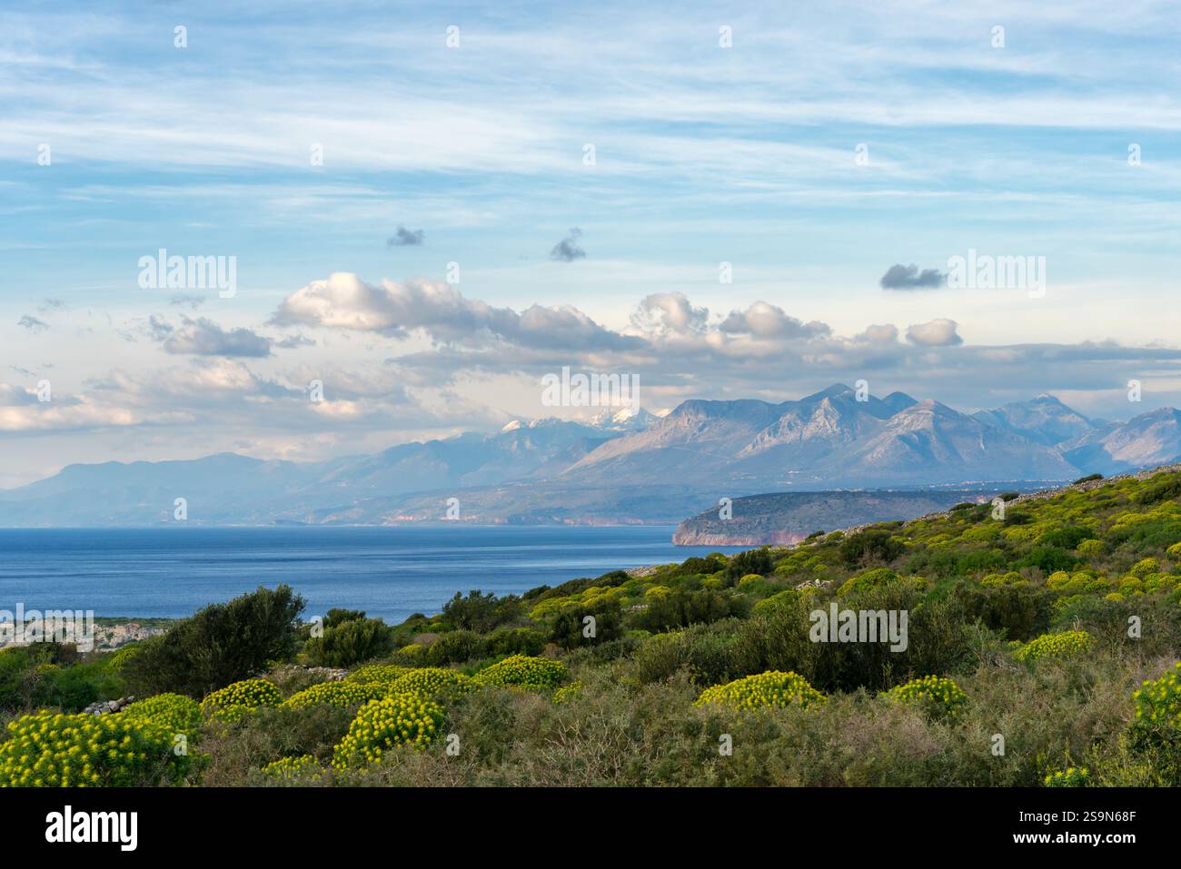 Mani Peninsula landscape view with Euphorbia Arborea plants Stock Photo ...