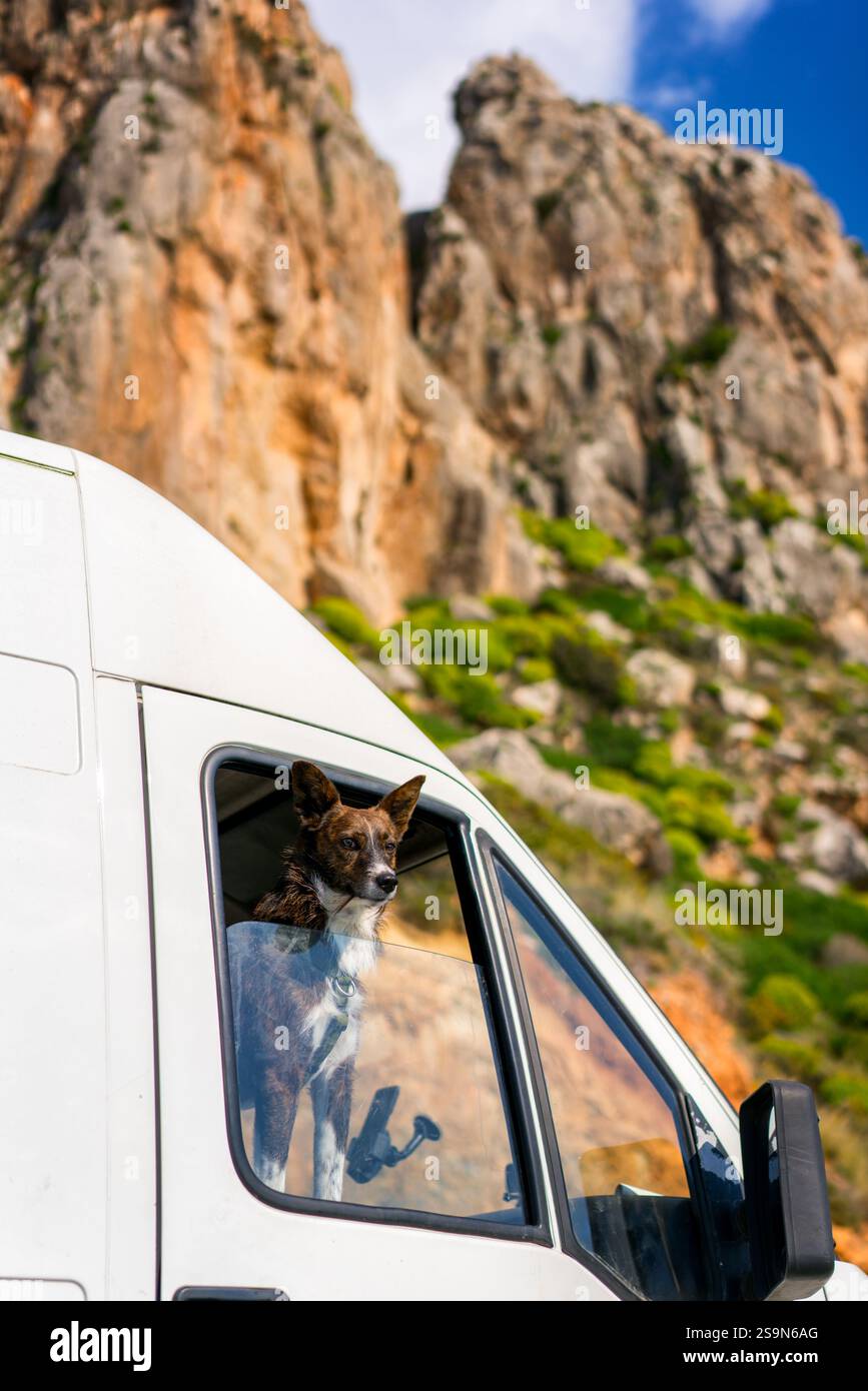 Dog looking outside the window of a camper van on the mountains Stock ...
