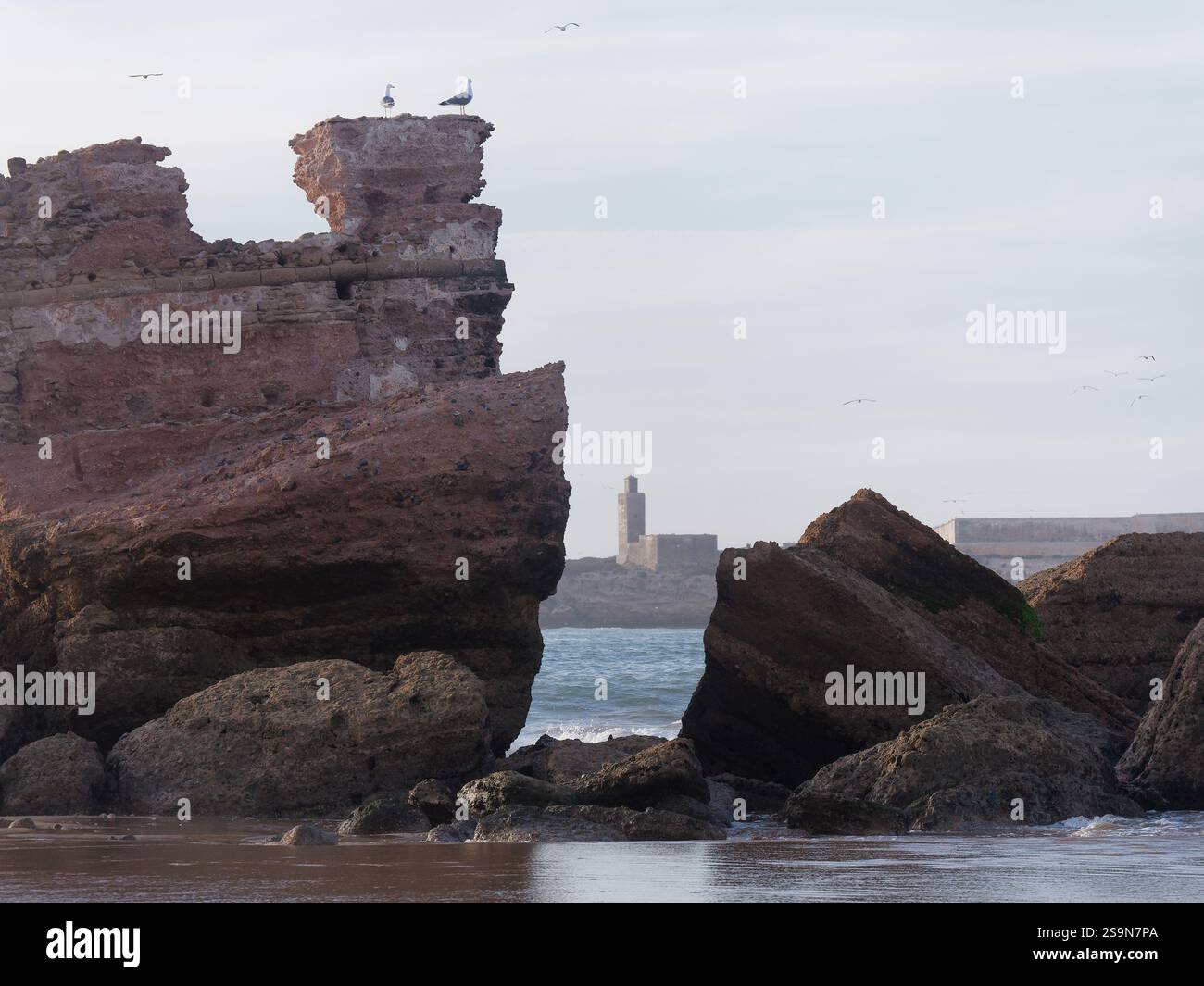 Birds stand atop a rock formation with a tower on an island in the ...