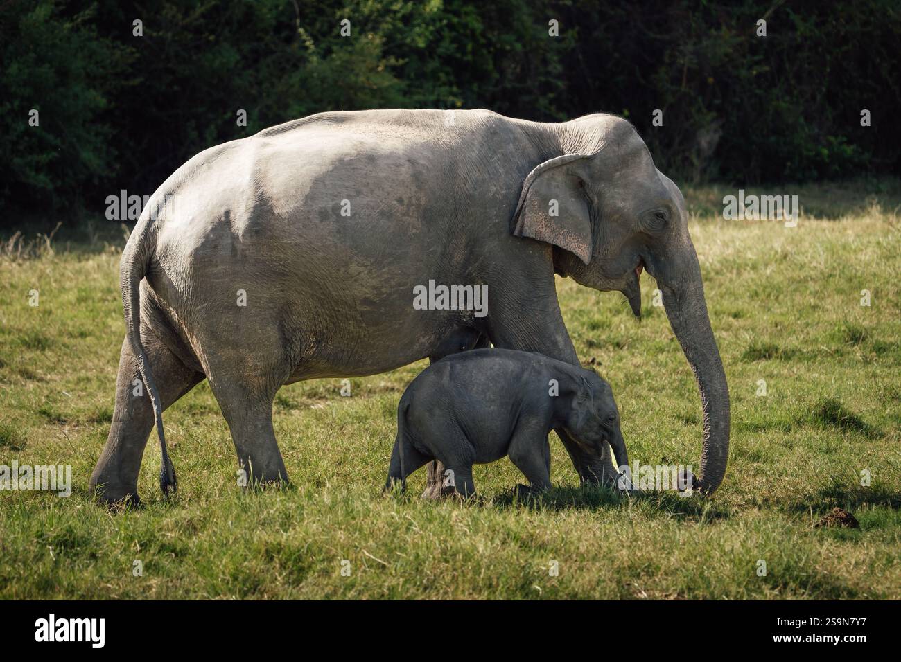 Central asia baby stand hi-res stock photography and images - Alamy