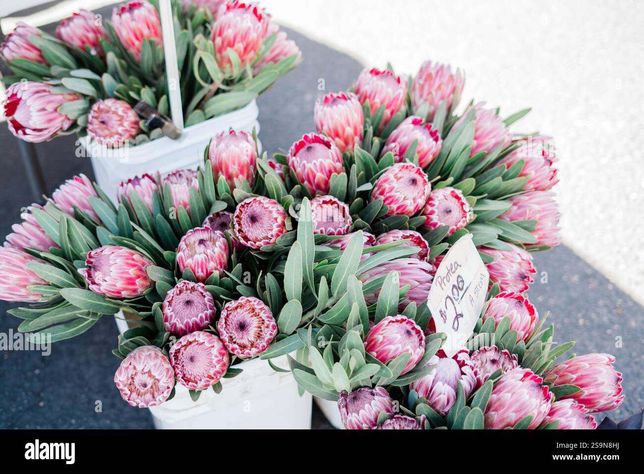 Striking arrangement of flowers hi-res stock photography and images - Alamy