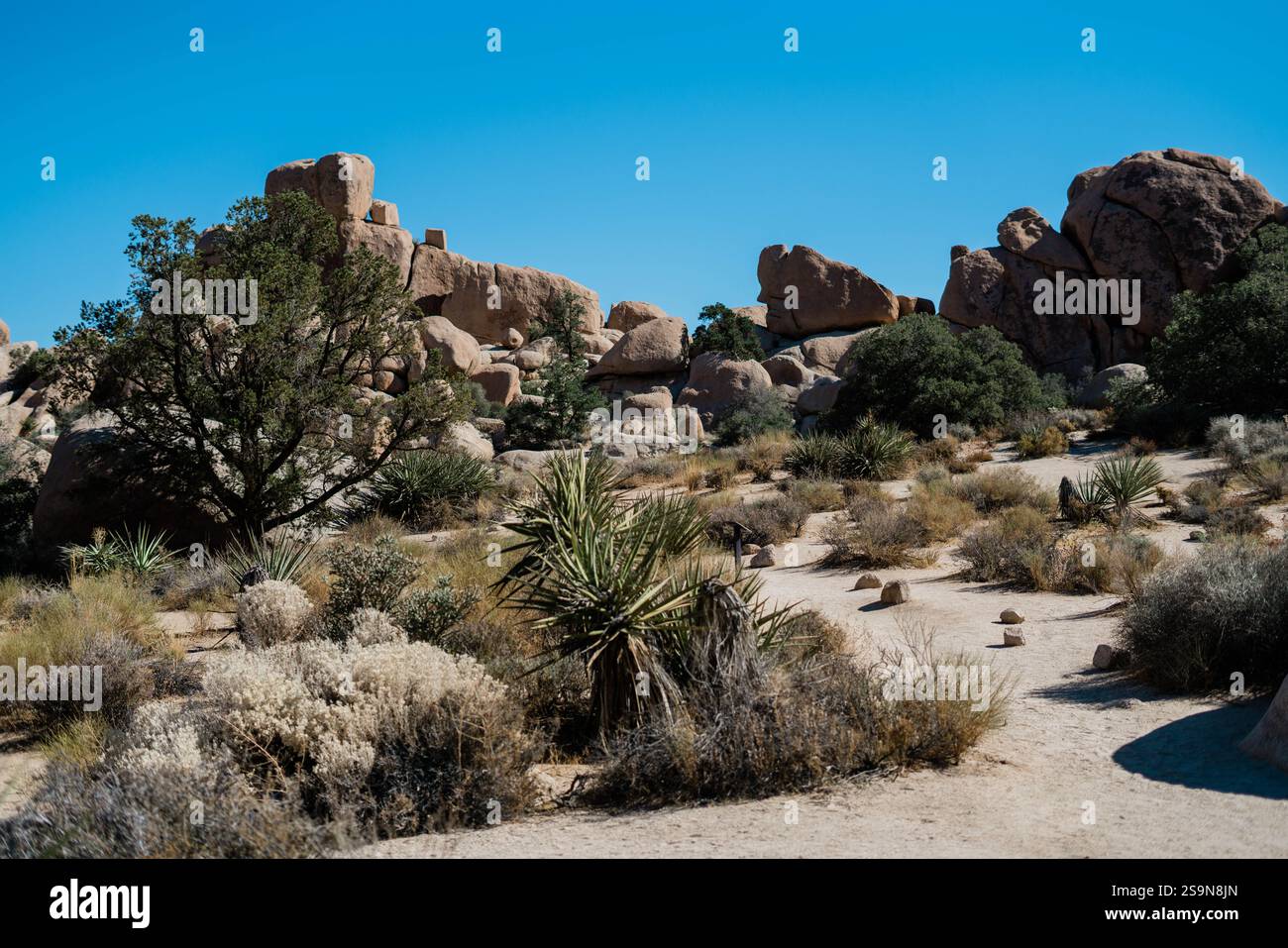 Scenic Desert Rockscape at Joshua Tree Stock Photo - Alamy