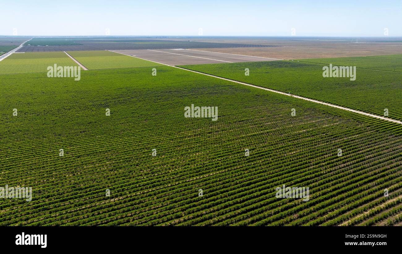 Aerial view of symmetrical farm plots in California Central Valley ...