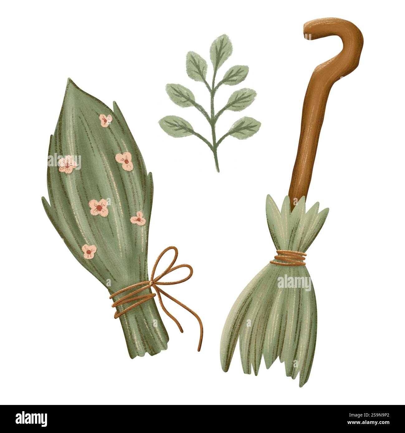 Witch broom, plants, can represent concepts like witches, halloween ...