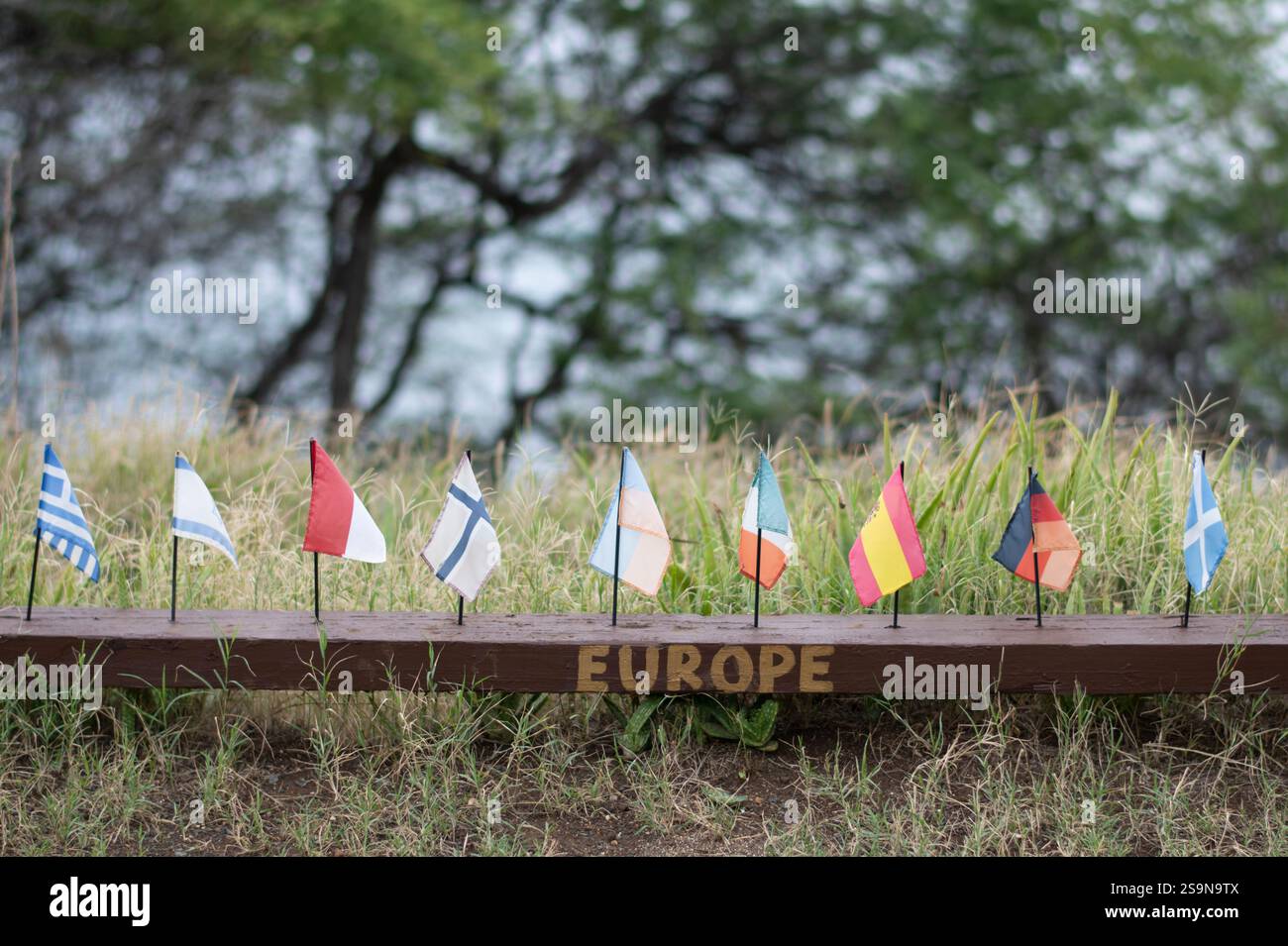 Mini flags European countries wooden plank titled Europe Stock Photo ...