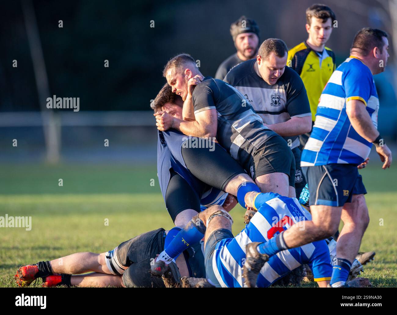 English mens amateur Rugby Union players playing in a league game Stock ...