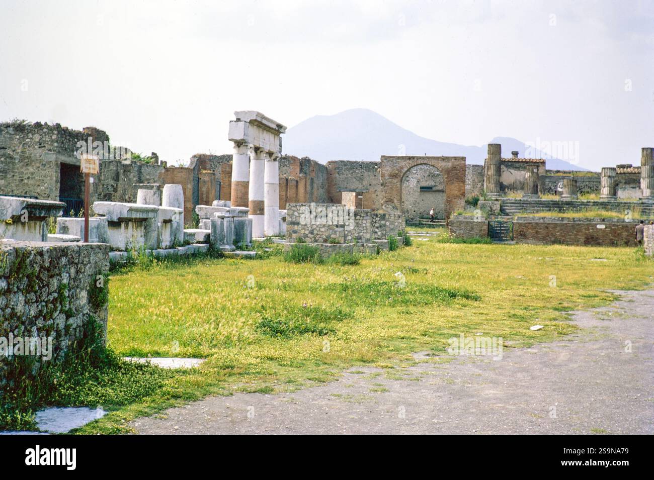 Roman ruins Archaeological Park of Pompeii, Naples, Italy, Europe 1967 ...