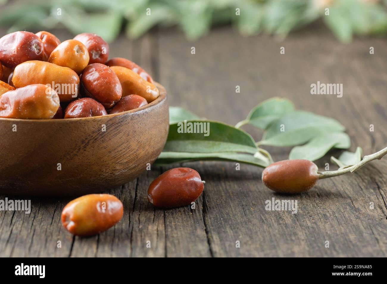 Silverberry hi-res stock photography and images - Alamy