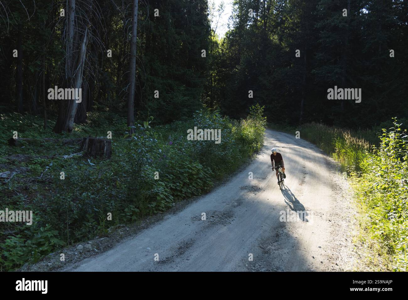 Biking through a forest road, blending endurance, adventure Stock Photo ...