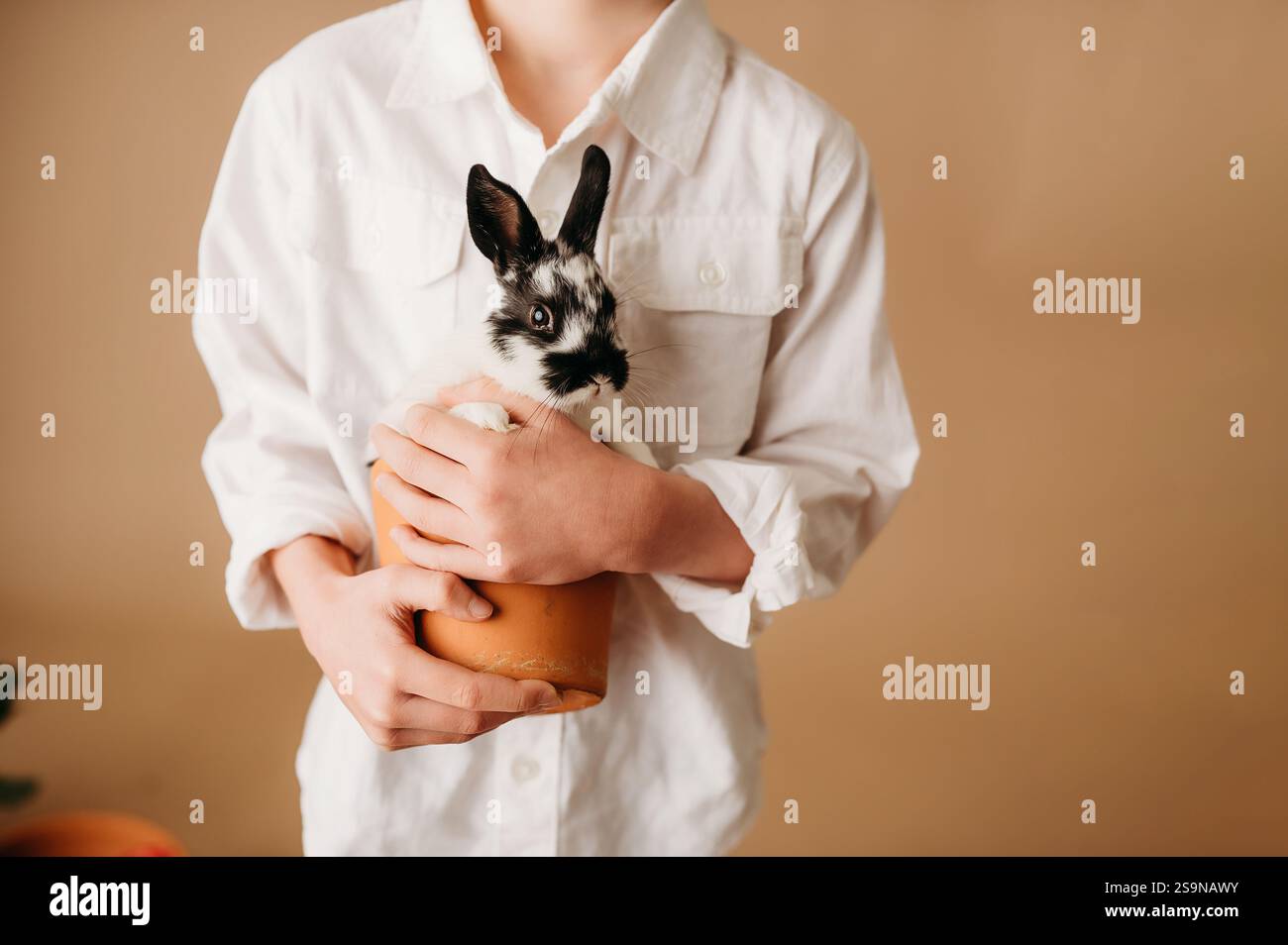 boy holding bunny with white shirt Stock Photo - Alamy