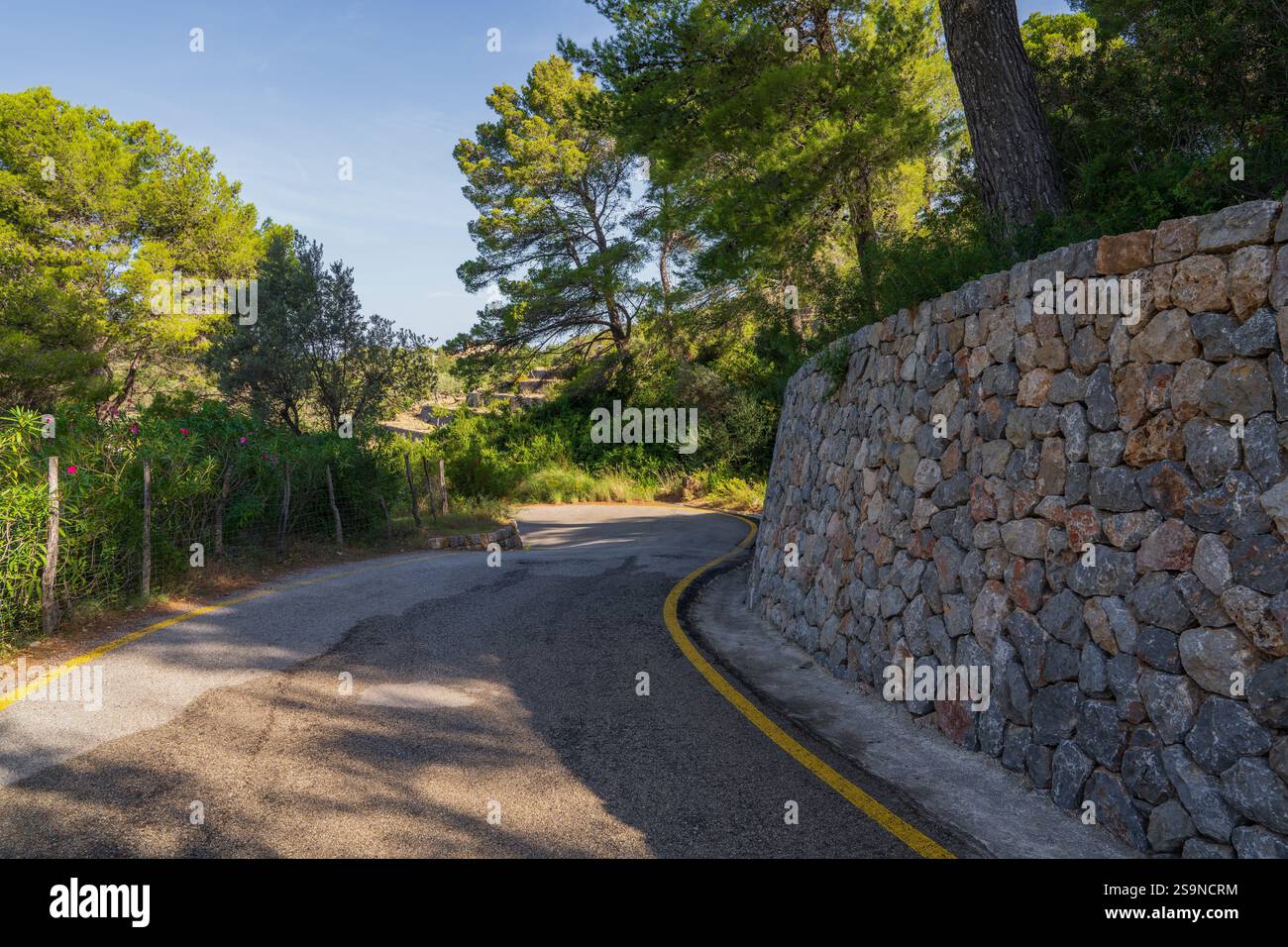 Quiet asphalt road running alongside traditional stone wall, surrounded ...
