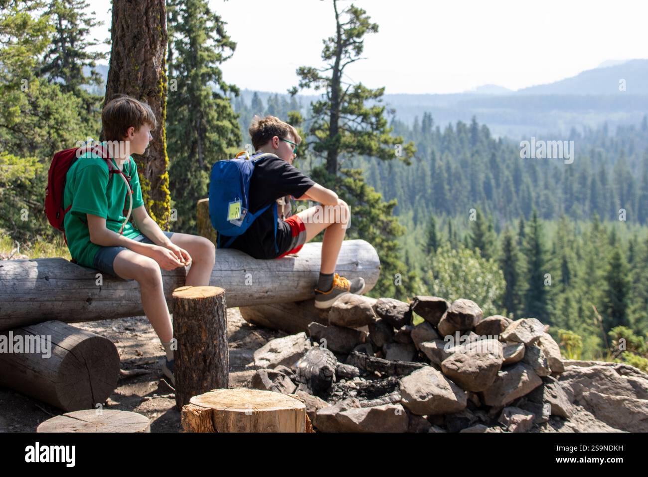 Boys sitting on a log behind fire pit overlooking treed valley Stock ...