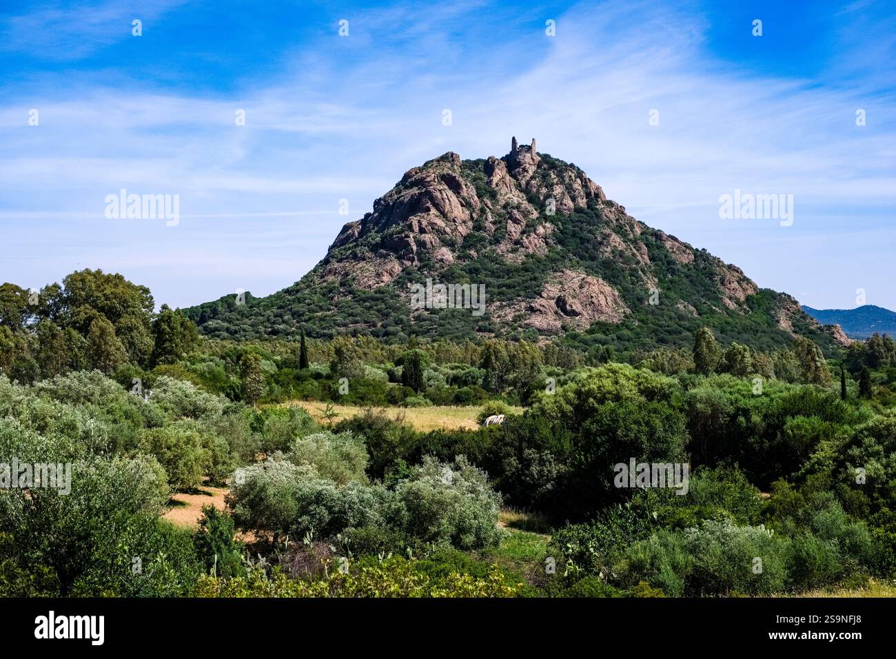 The conical hill with the Castello di Acquafredda on top, surrounded by ...