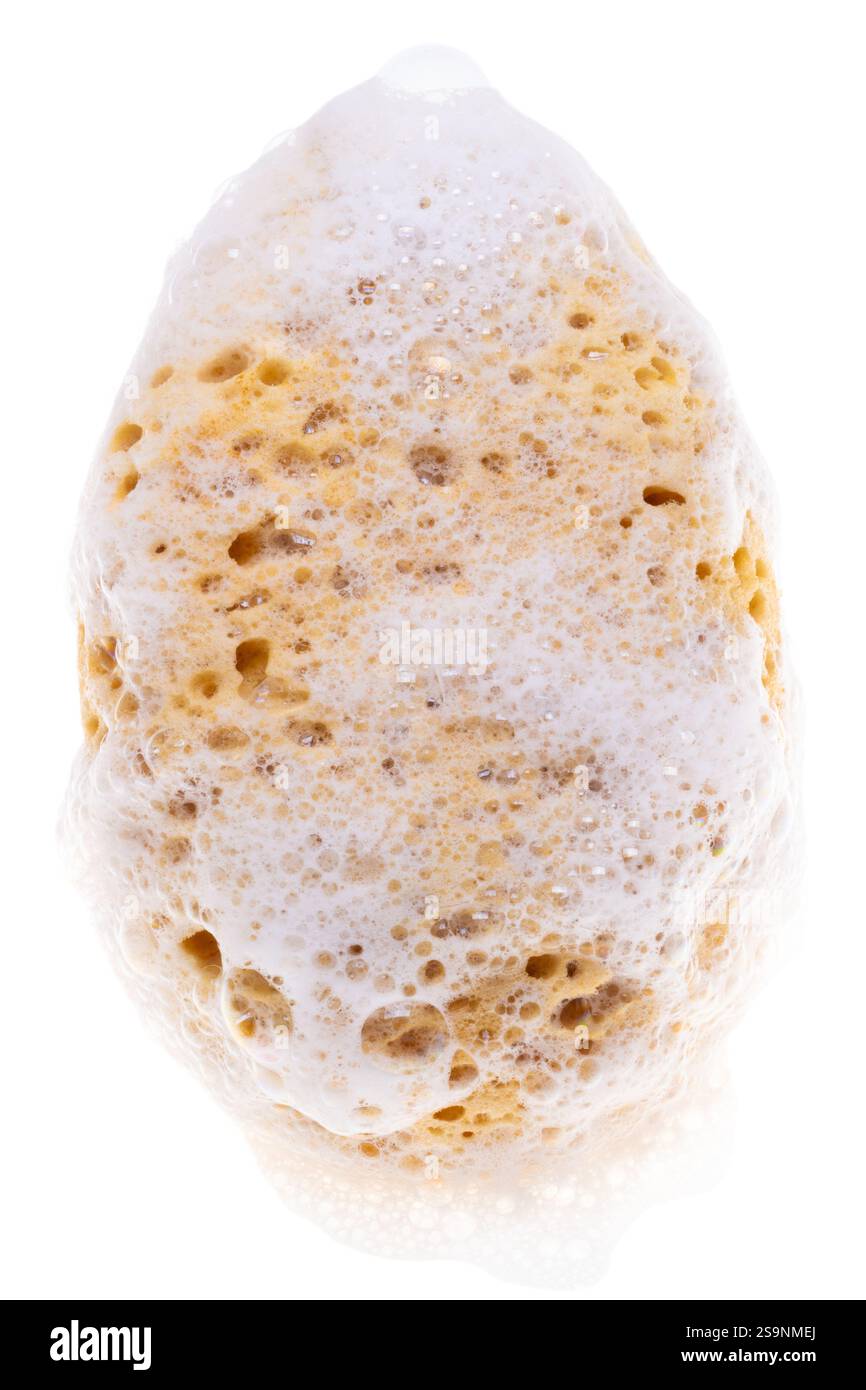 body loofah isolated on white background Stock Photo - Alamy