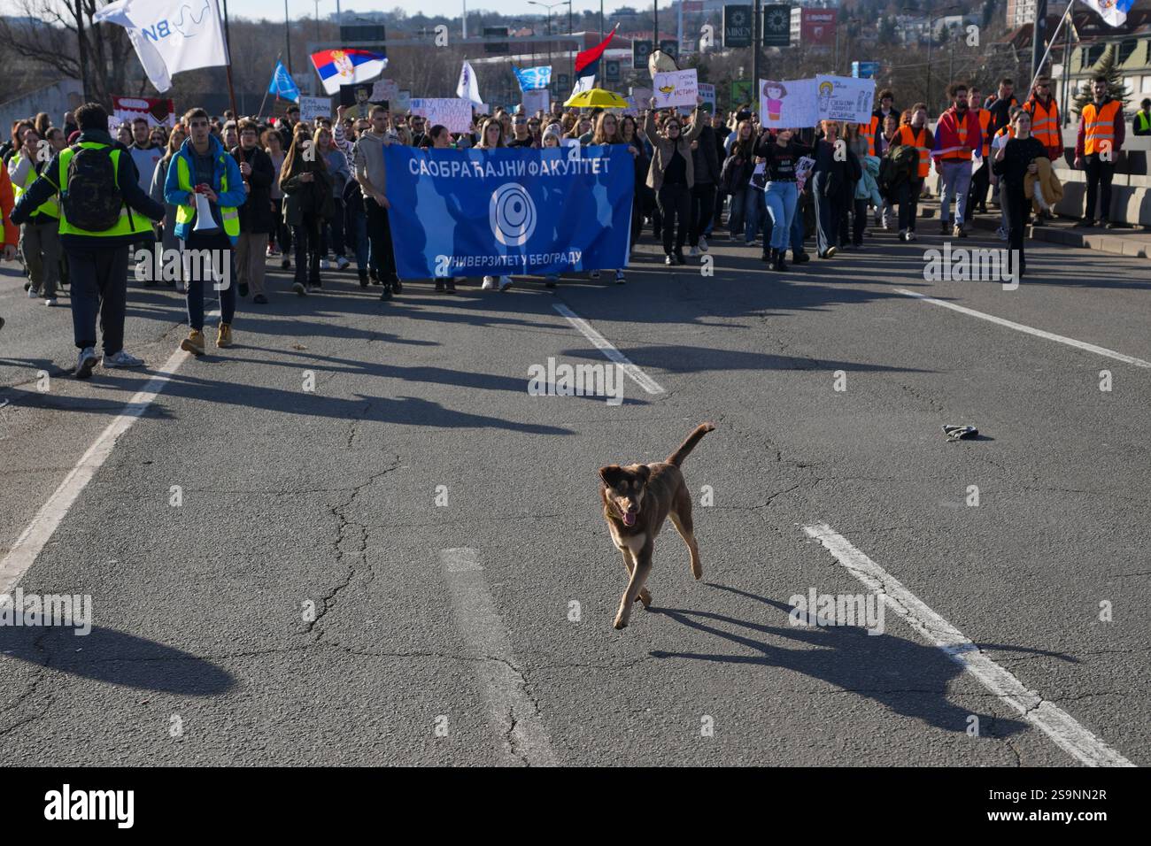 Students march during a student-led 24 hour block on an intersection to ...