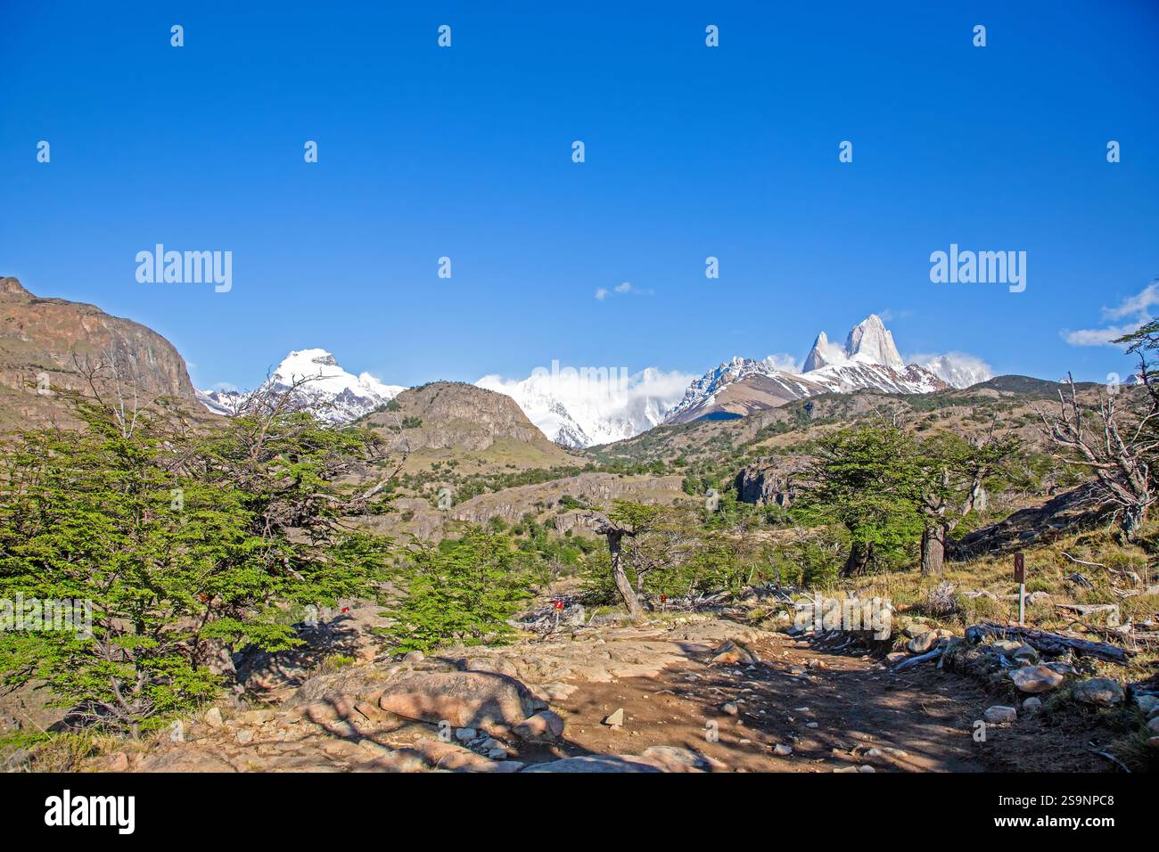 View of the valley towards Laguna Torre with Cerro Torre and ...