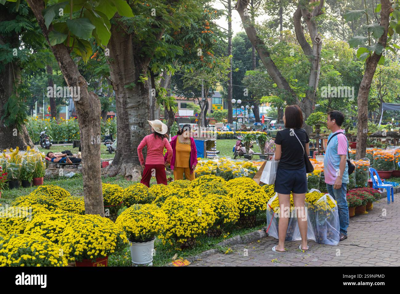 Streets Flower Fairs to celebrate Tet festival (New Lunar year), Ho Chi ...