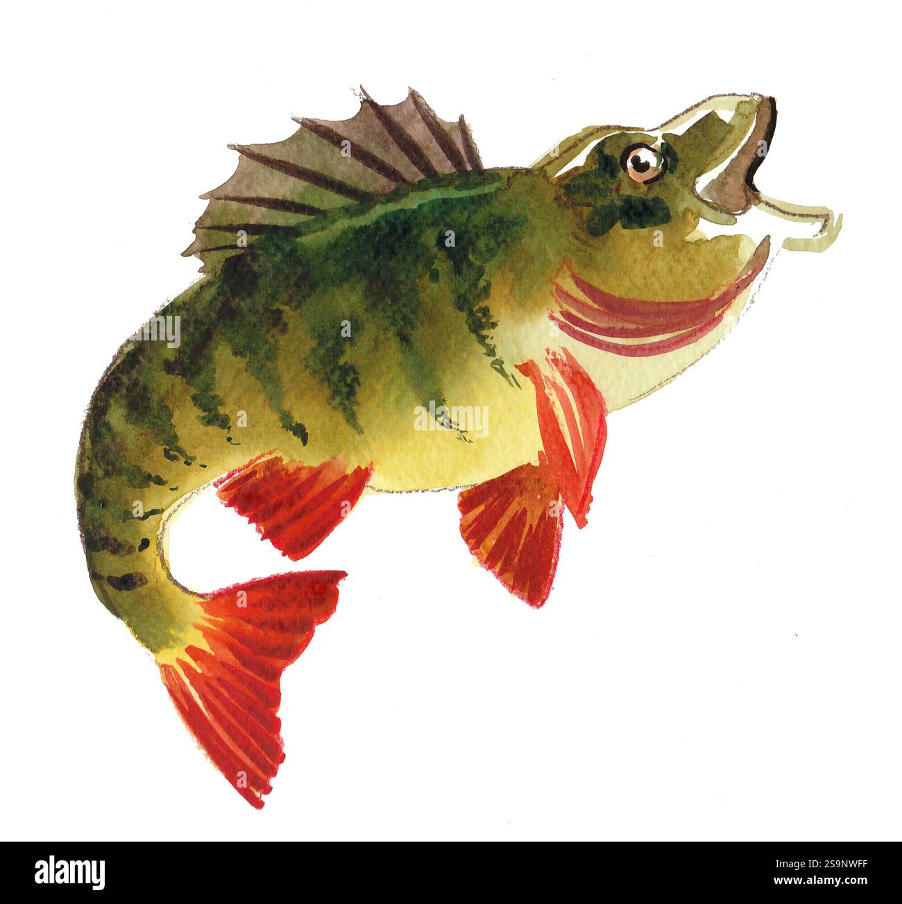 Leaping fish. Hand drawn watercolour illustration Stock Photo - Alamy