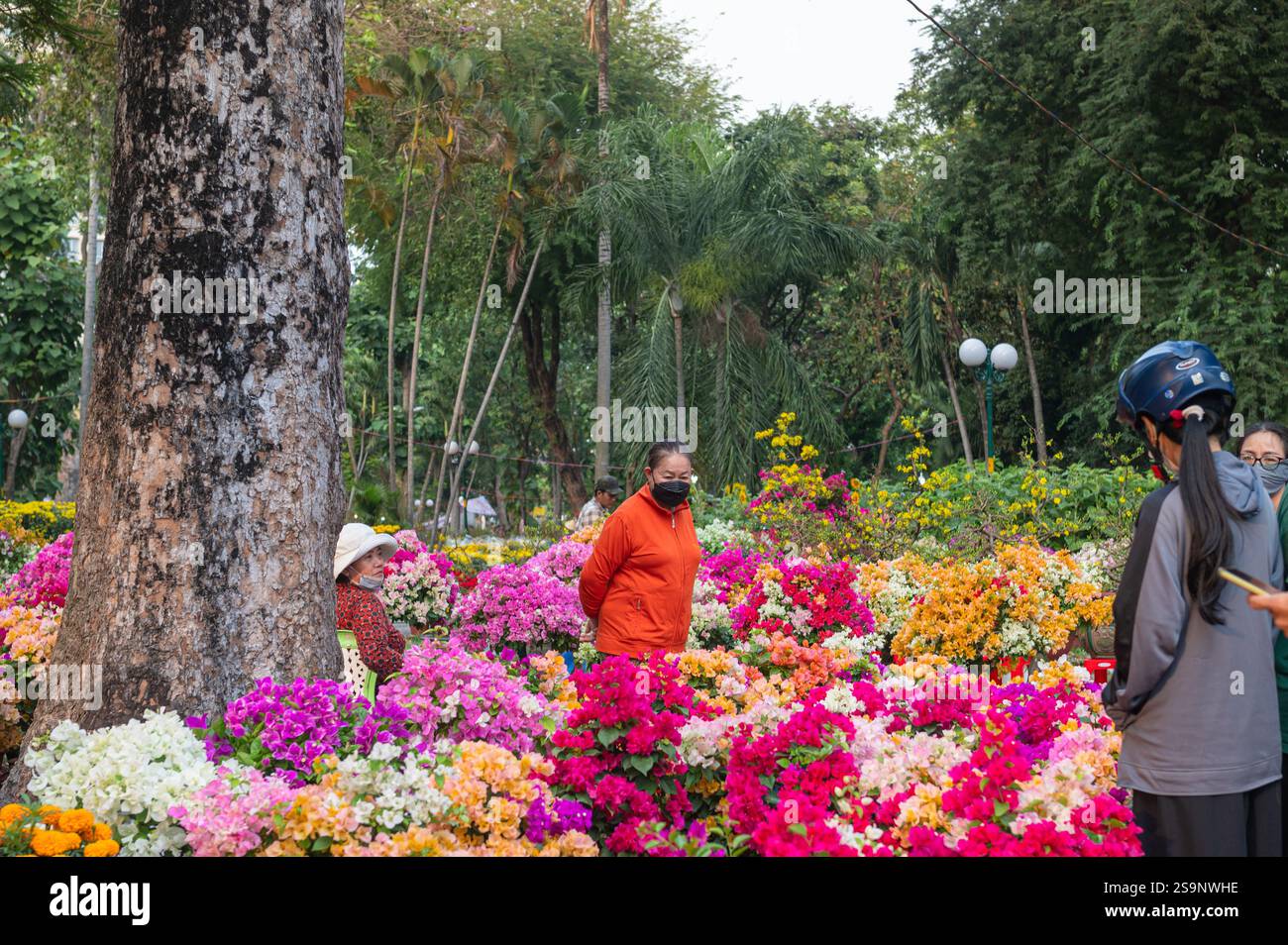 Streets Flower Fairs to celebrate Tet festival (New Lunar year), Ho Chi ...