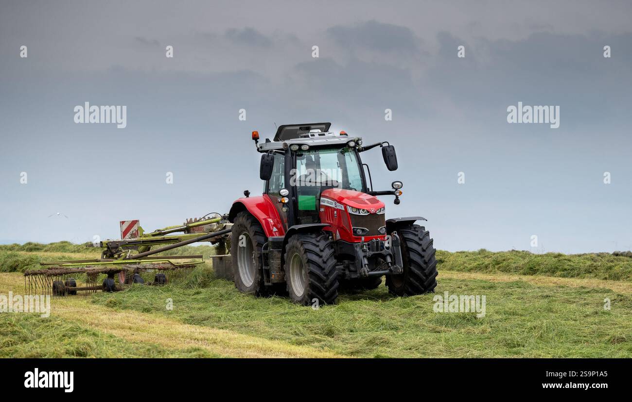 A Dairy farm harvesting grass silage in june 2024 near lancaster Stock ...