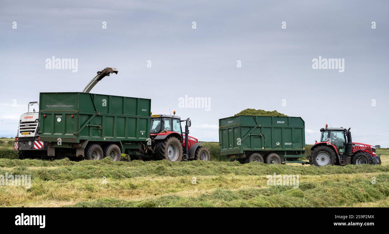 dairy farm harvesting grass silage near lancaster Stock Photo - Alamy