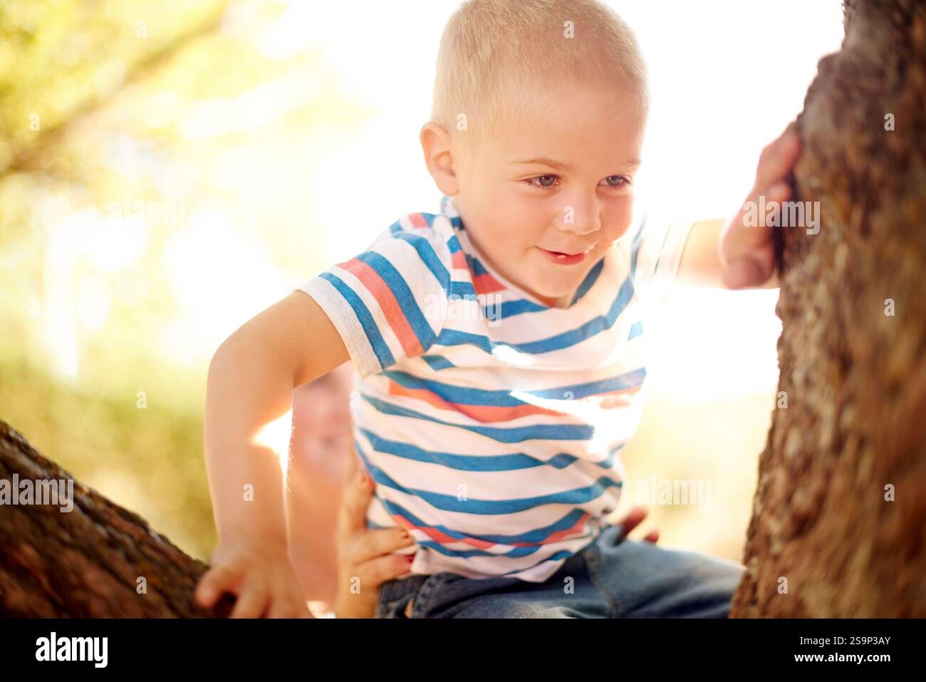 Happy, climbing and child in tree for playing, childhood and adventure ...