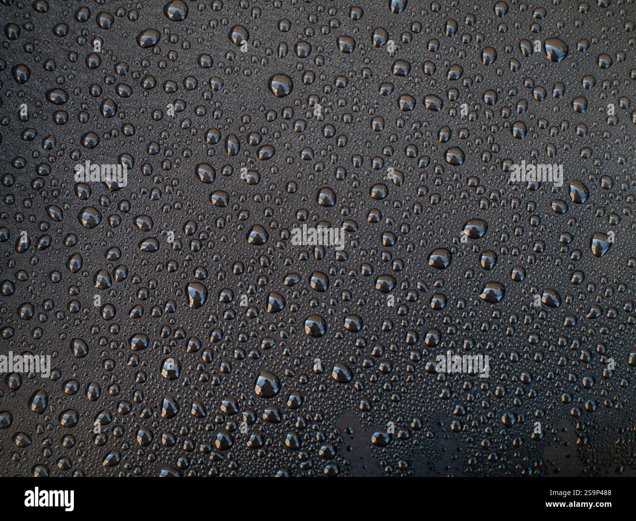 A black background with many small drops of water. The drops are ...