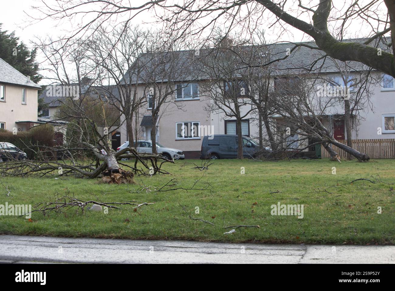 Edinburgh, UK. 27 Jan, 2025. Storm Eowyn cause a bit impact in trees in ...