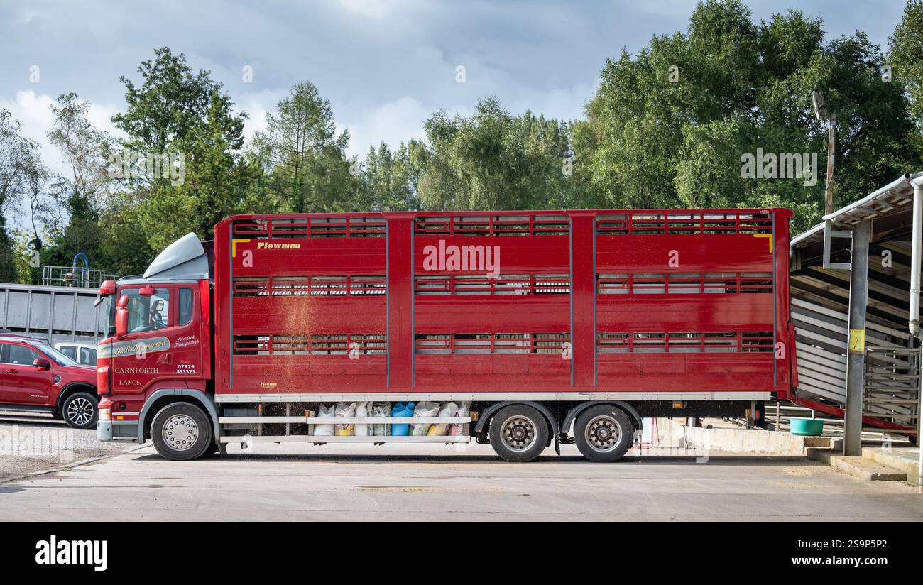 A cattle wagon loading up at Lancaster auction Stock Photo - Alamy