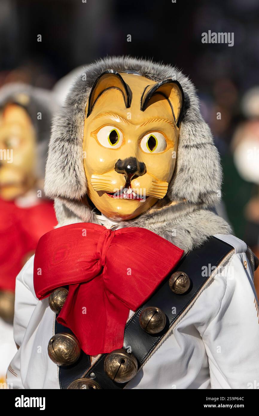 Niedereschach, Germany. 26th Jan, 2025. The Hardt Cat Guild takes part ...