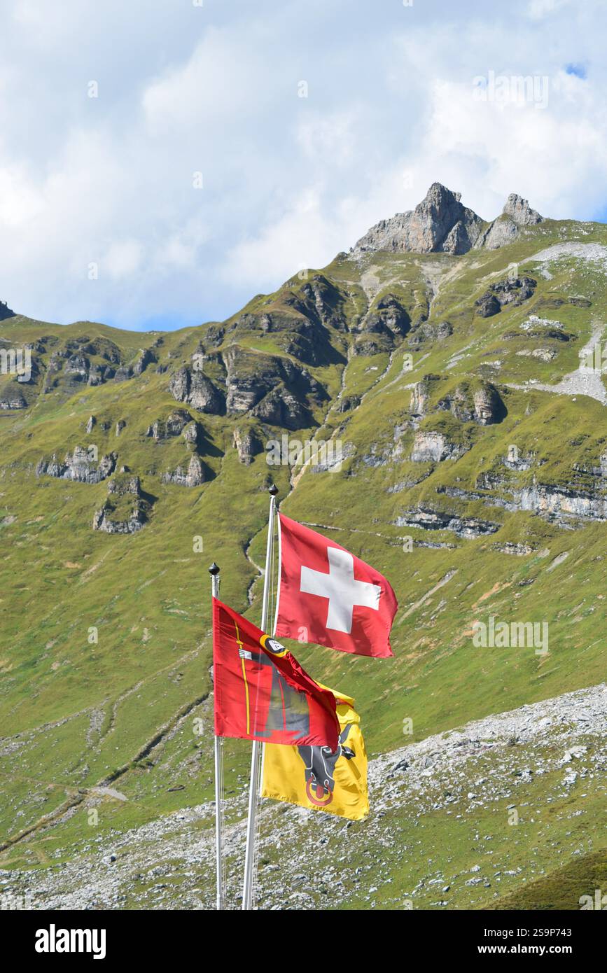 Swiss national flag together with the canton flags of Uri and Glarus ...