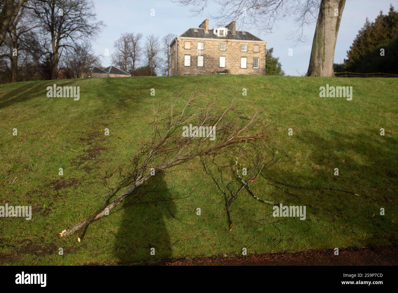 Edinburgh, UK. 27 Jan, 2025. Storm Eowyn cause a bit impact in trees in ...