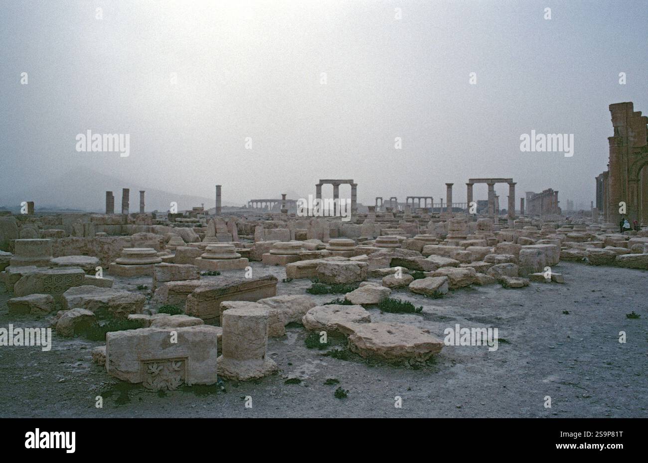 Road from Hadrian's Gate to the Temple of Bel, Colonnade, Palmyra, Syria, May 1987, vintage ...