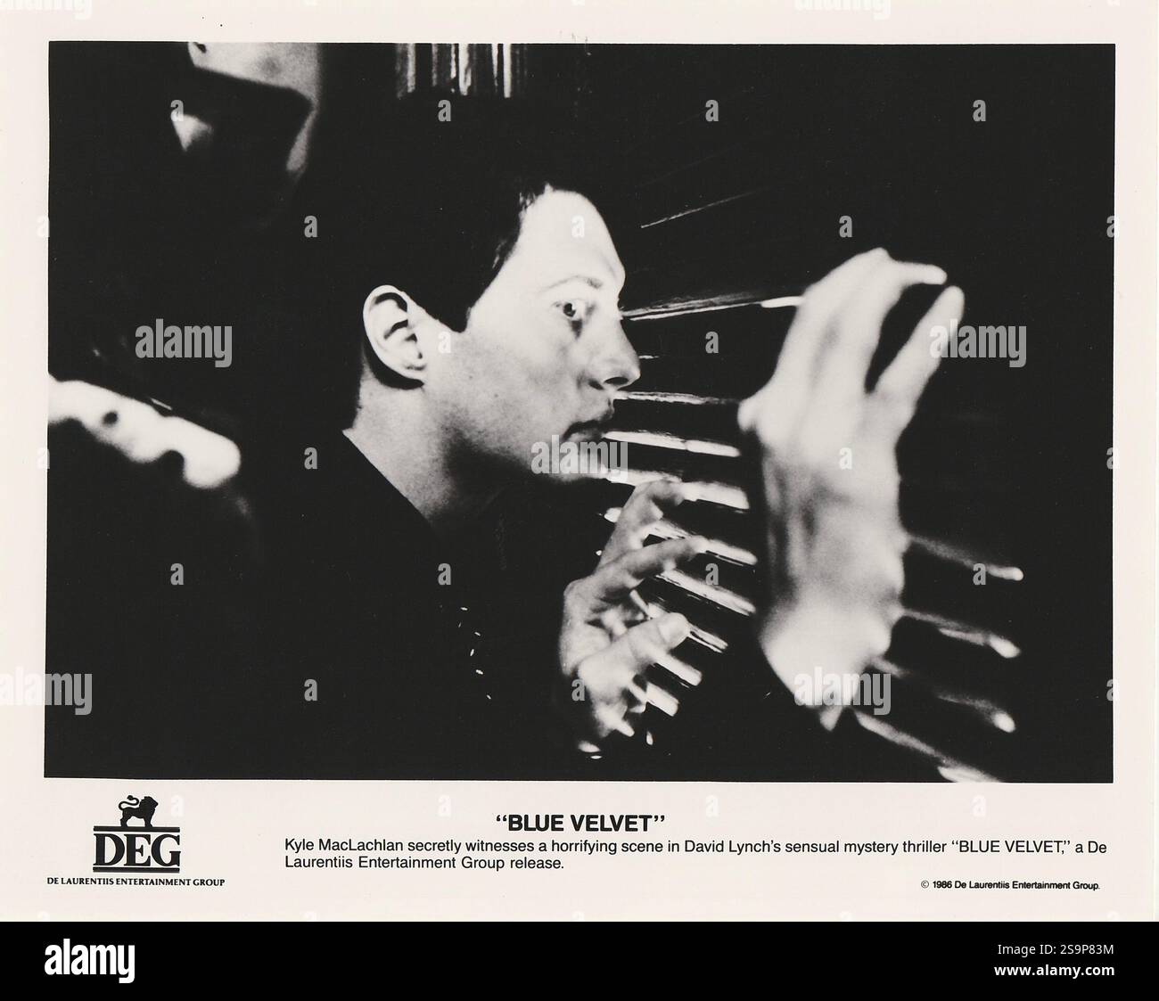 Blue Velvet (DeLaurentis, 1986)mystery-thriller, directed by David ...