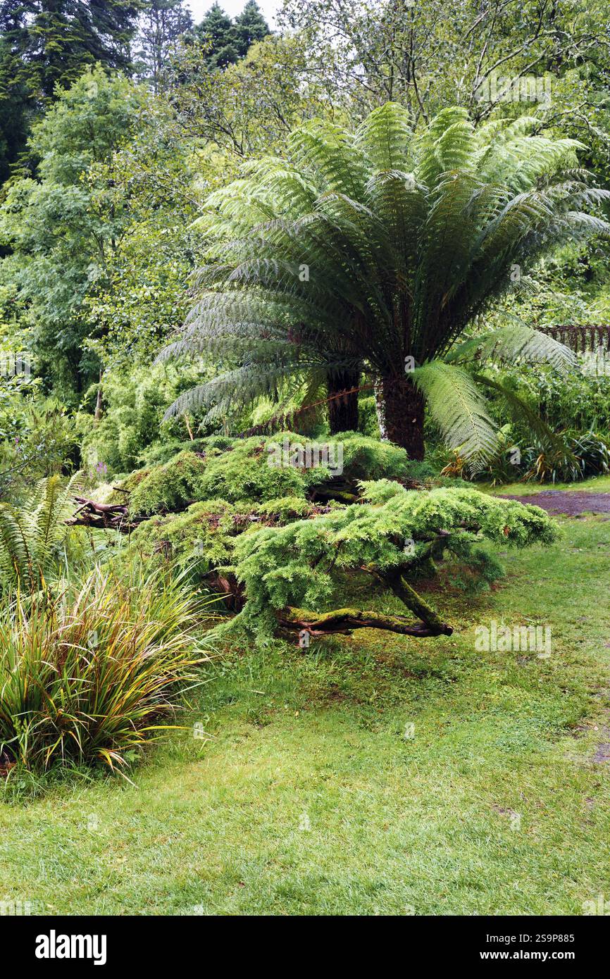 Ilnacullin, Garinish Island, gardens, Vegetaion, Glengarriff, Bantry ...