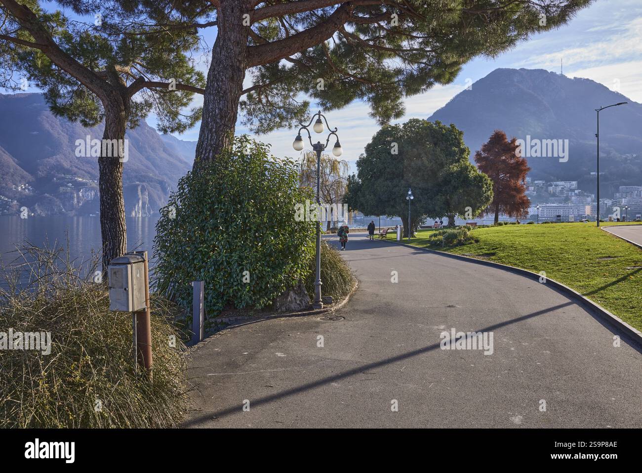 Lakeside promenade, lake, trees, lantern, garden with lawn, mountains ...