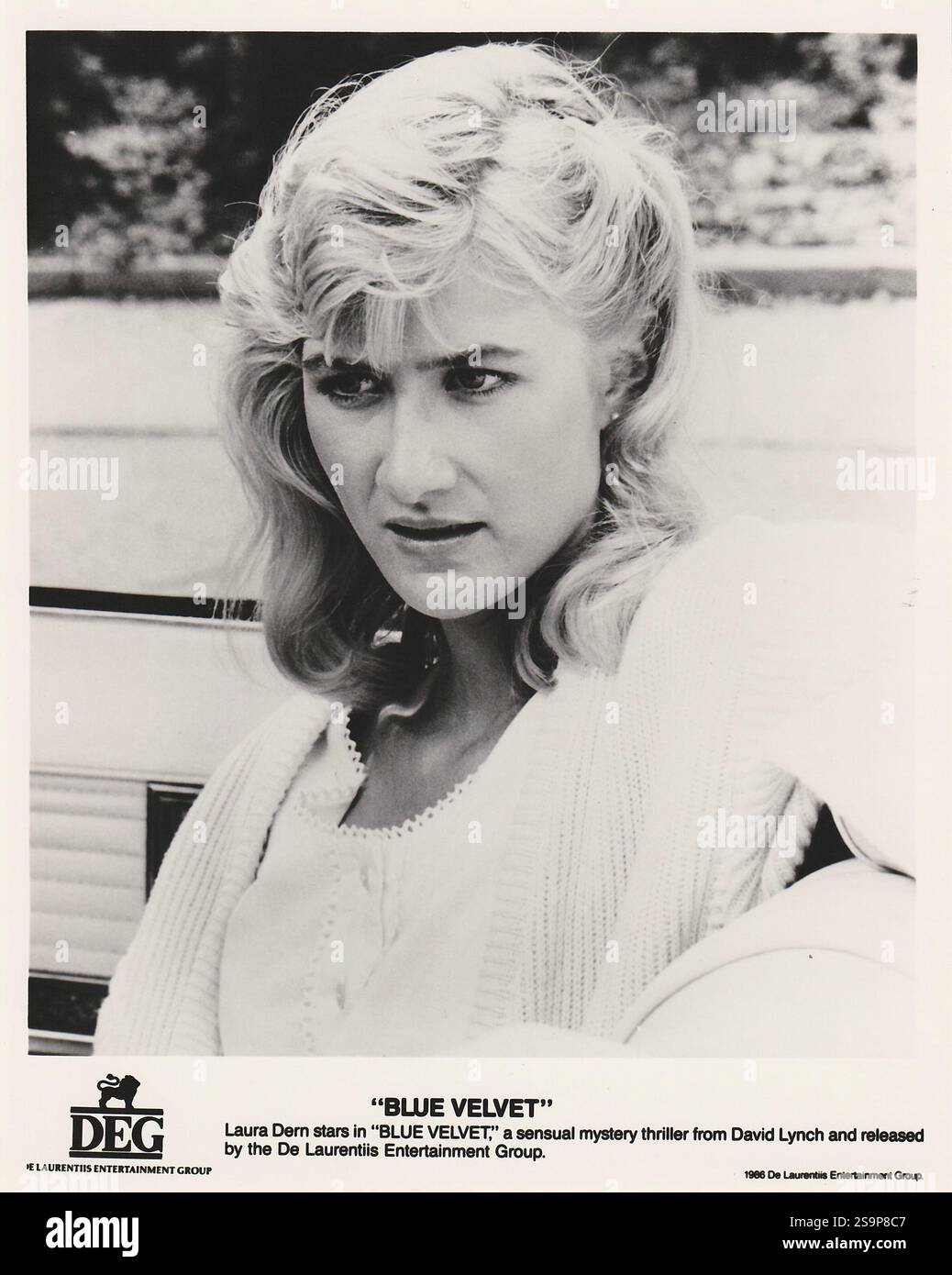 Blue Velvet (DeLaurentis, 1986)mystery-thriller, directed by David ...