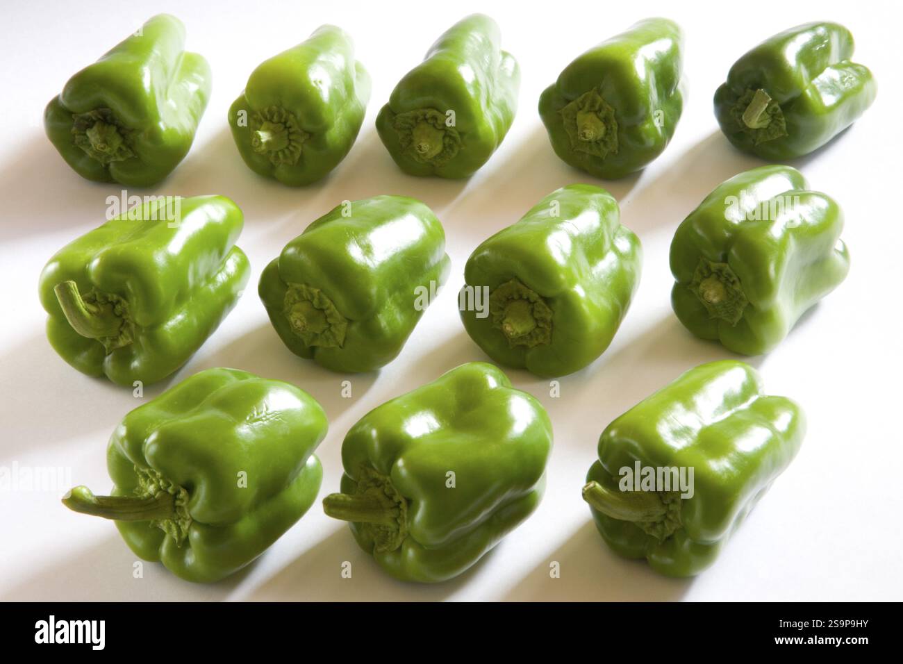 Concept Indian spice chilli green capsicum shimla mirch on white ...