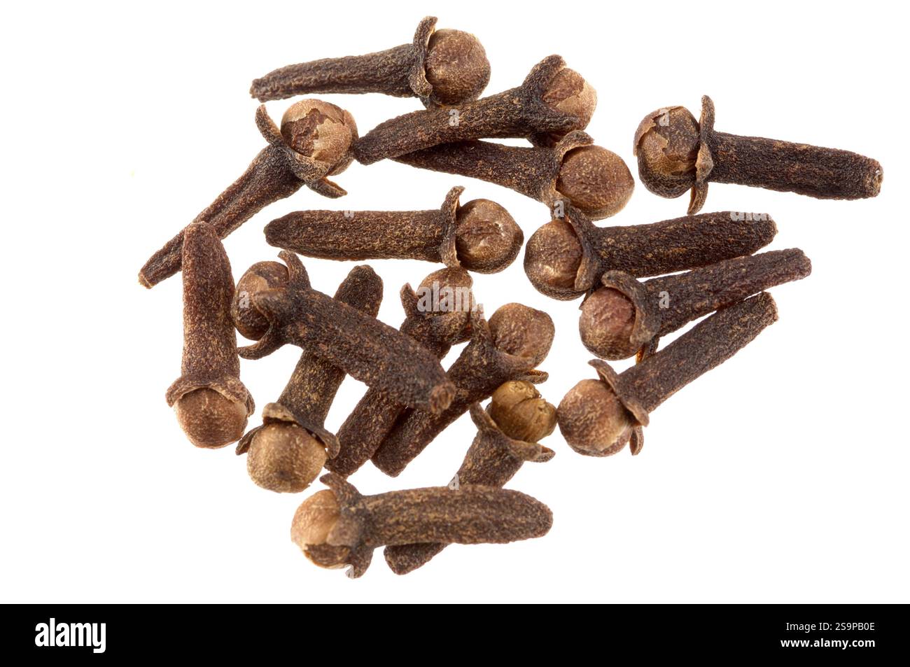 Spices, cloves Clavus on a white background Stock Photo - Alamy