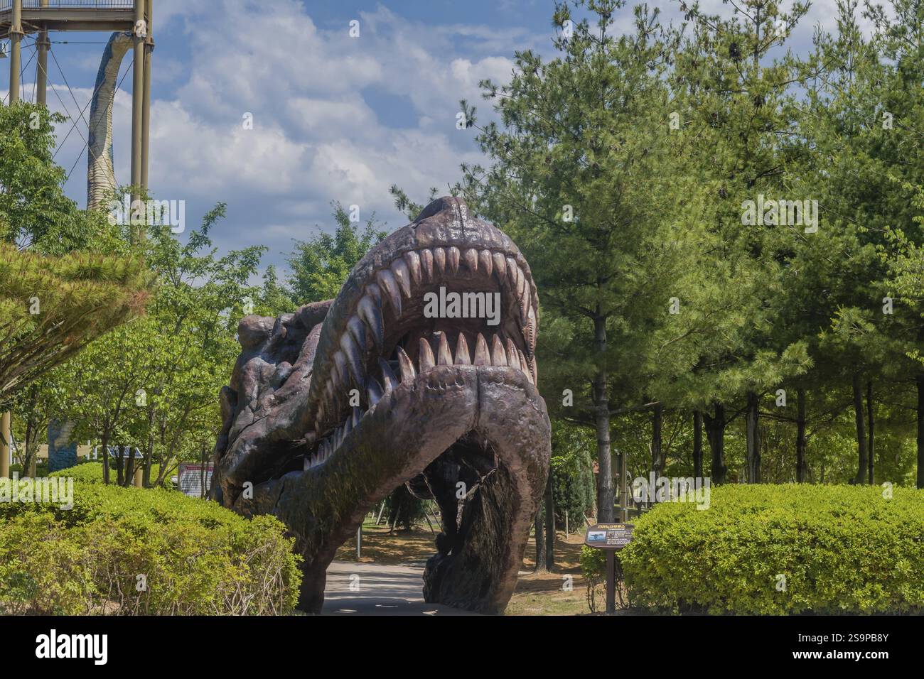 Iksan, South Korea, May 25, 2023: Replica of tyrannosaurus rex head as ...
