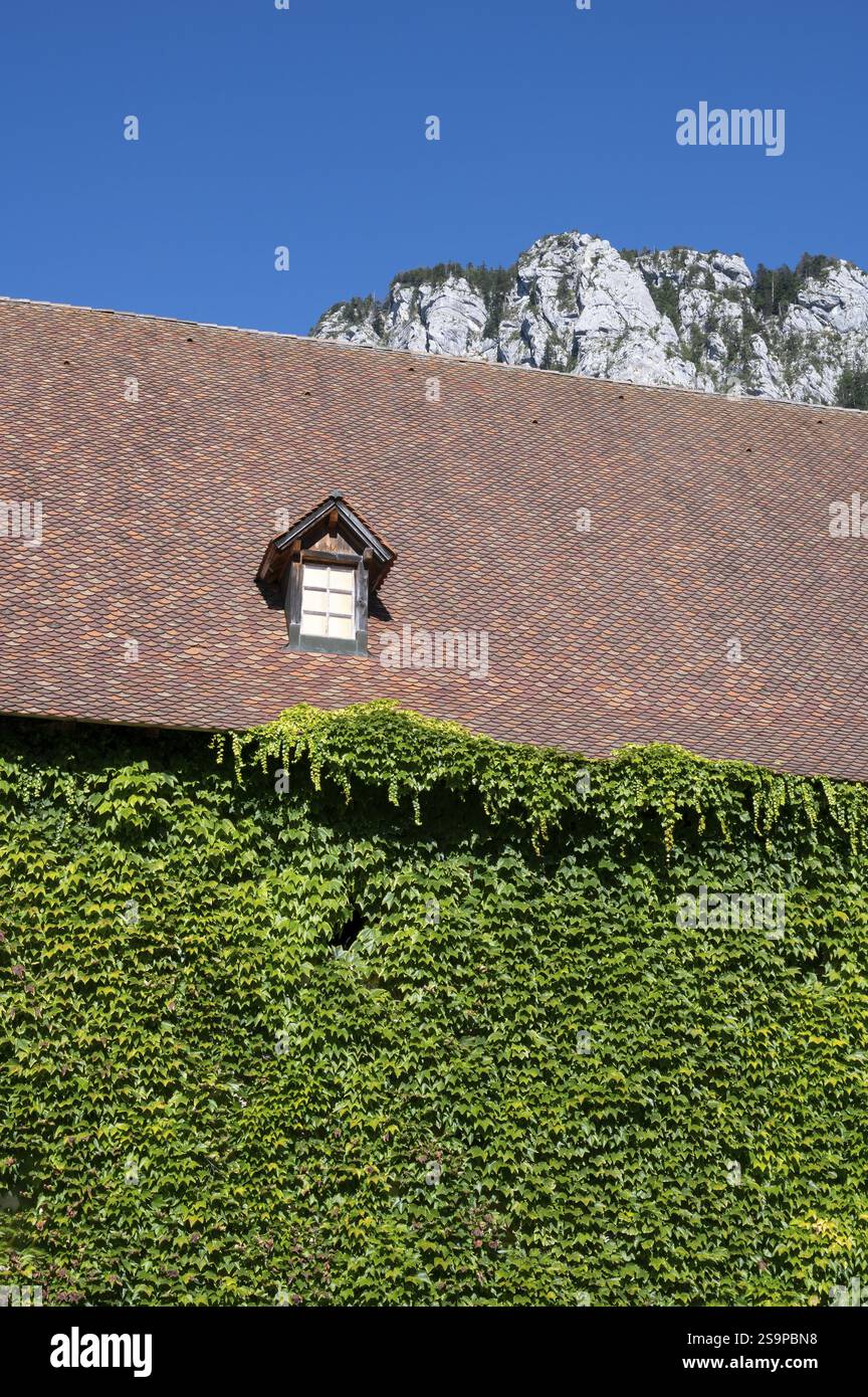 Roof detail of the former abbey of the Grande Chartreuse, cradle of the ...